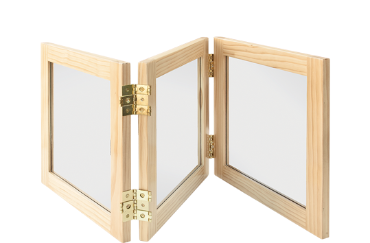 Buy PSE 3 Way Mirror $199