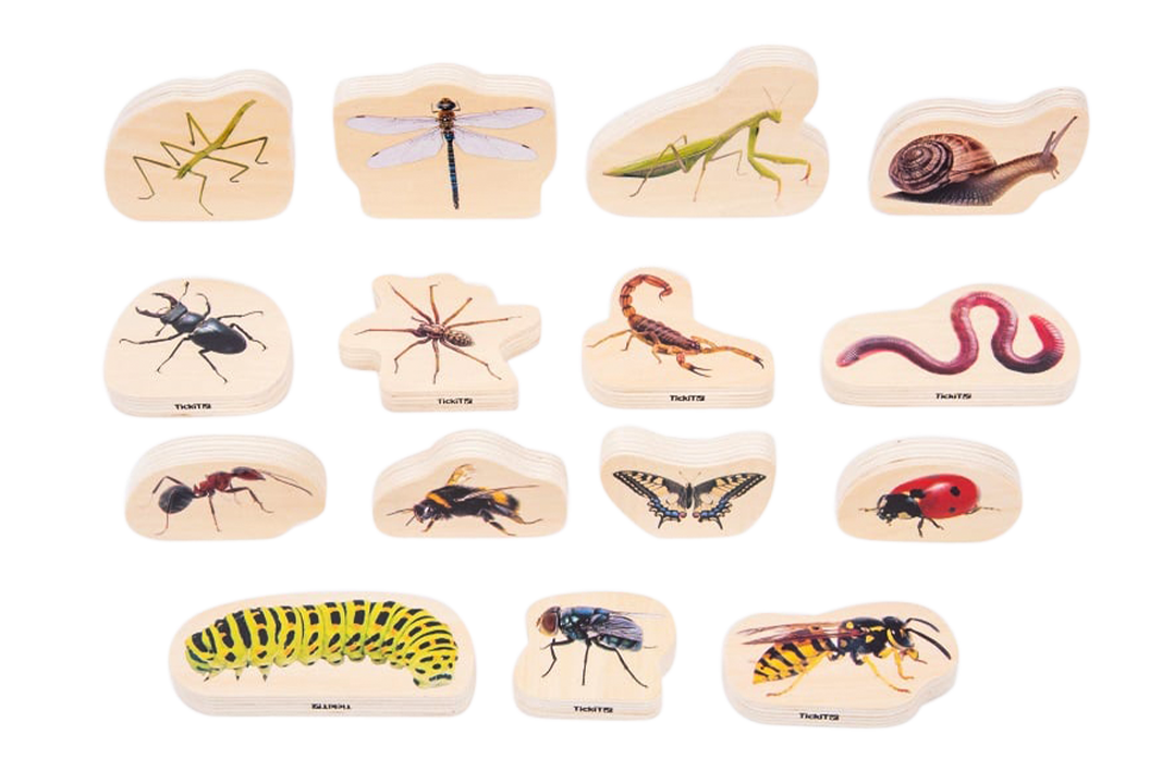 Wooden Reptile & Amphibian Blocks | Preschool Equipment Australia