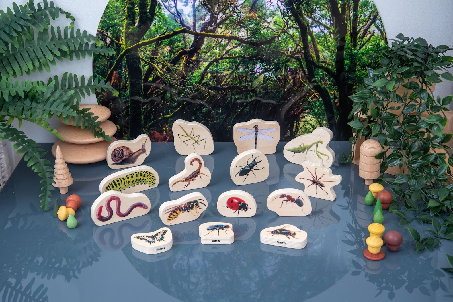 Wooden Reptile & Amphibian Blocks | Preschool Equipment Australia