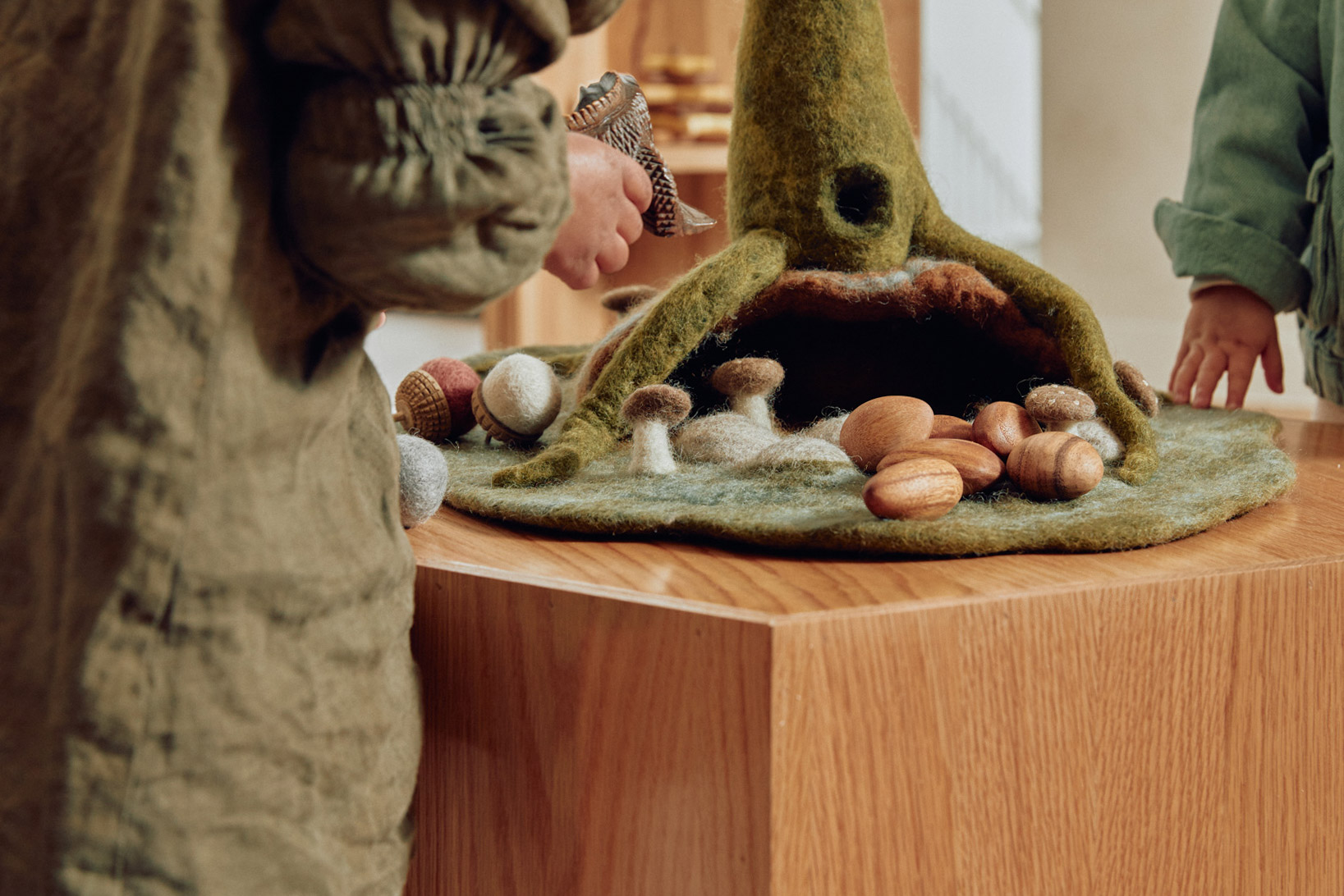 Felt Forest Caves Play Mat | Preschool Equipment Australia