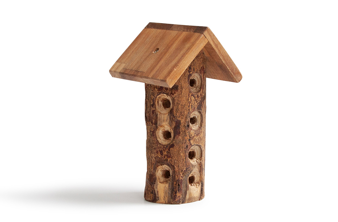 Buy PSE Lady Bug House $35